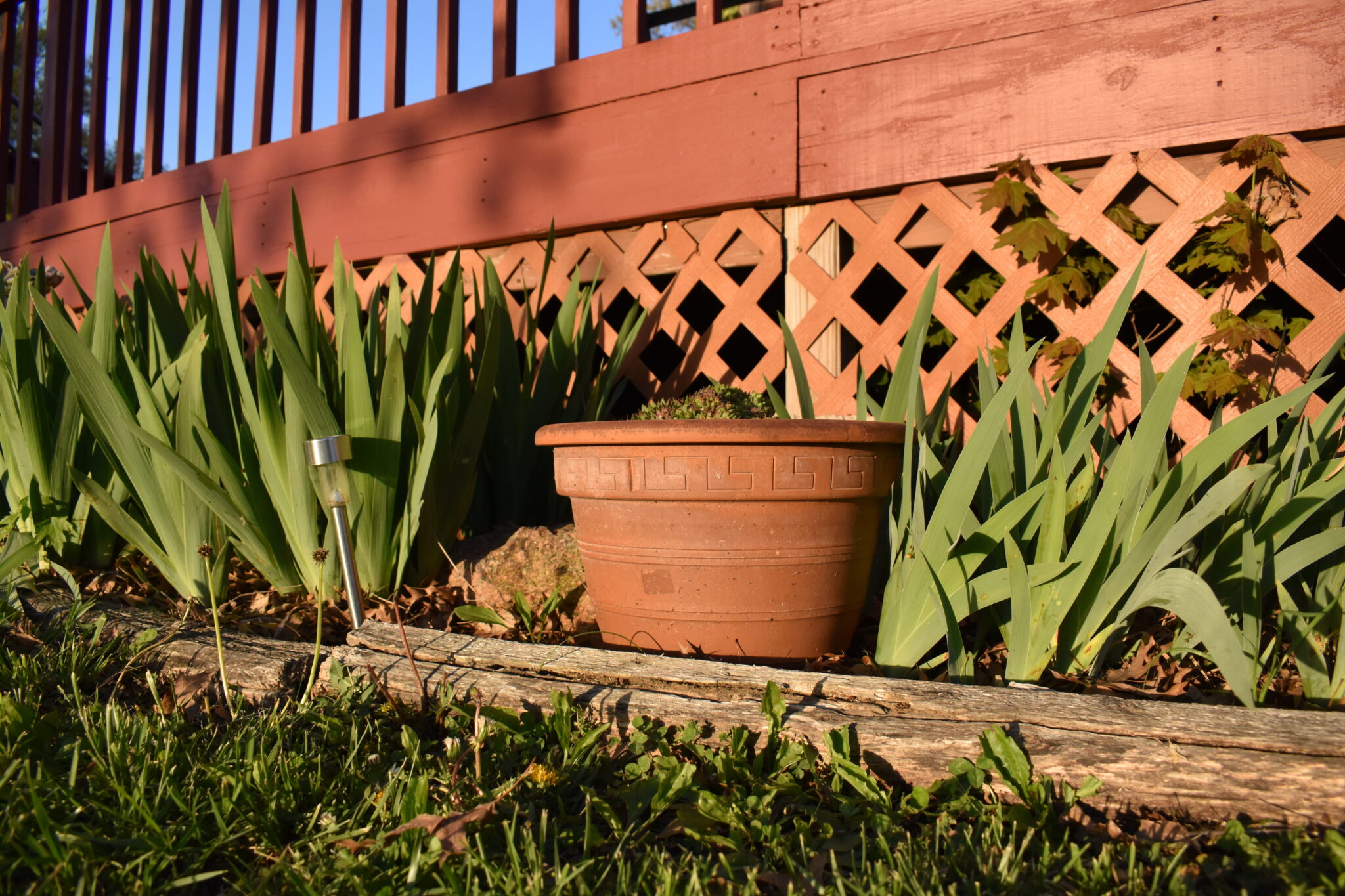 Prevent Skunk Nesting with Deck Trenching in CT | American Bio-Tech ...